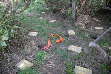 FOMI work trip 16-18 August 2019 – A staunch bunch of volunteers ...